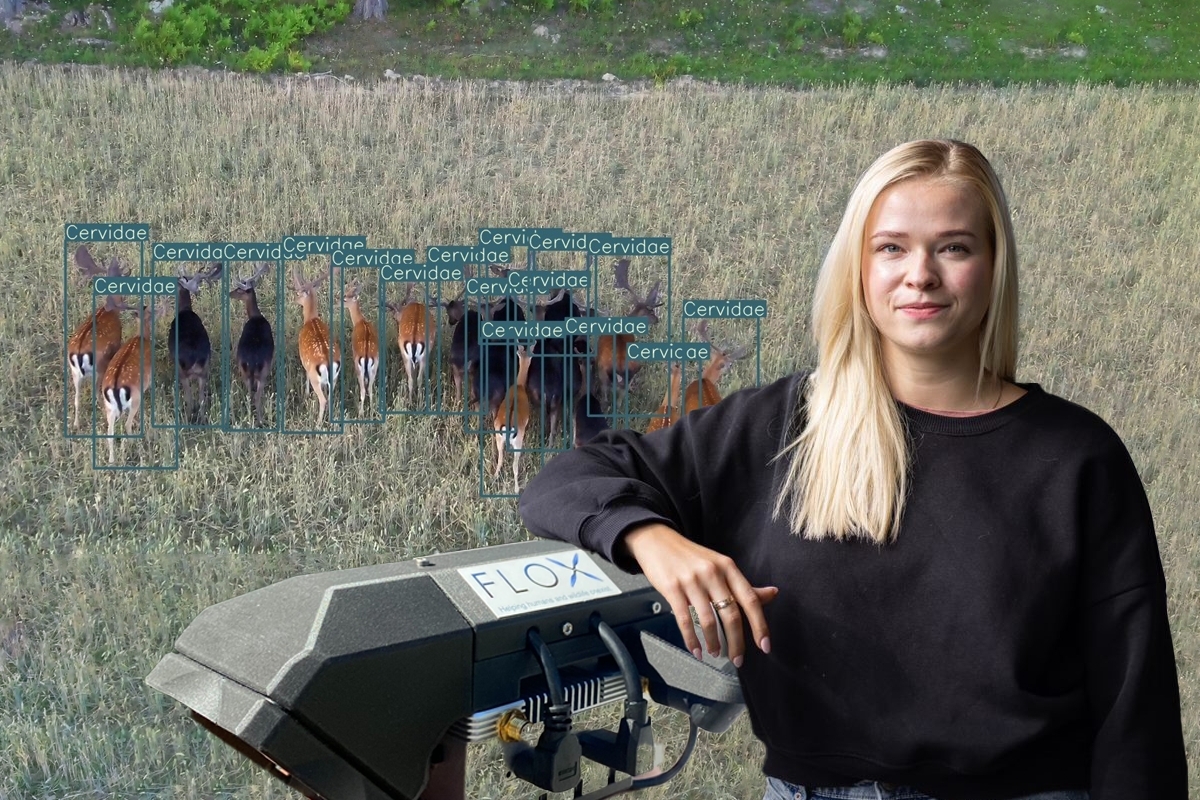 Deras AI-teknik ska minska viltolyckorna och bidra till ökad samexistens │ Impact Loop